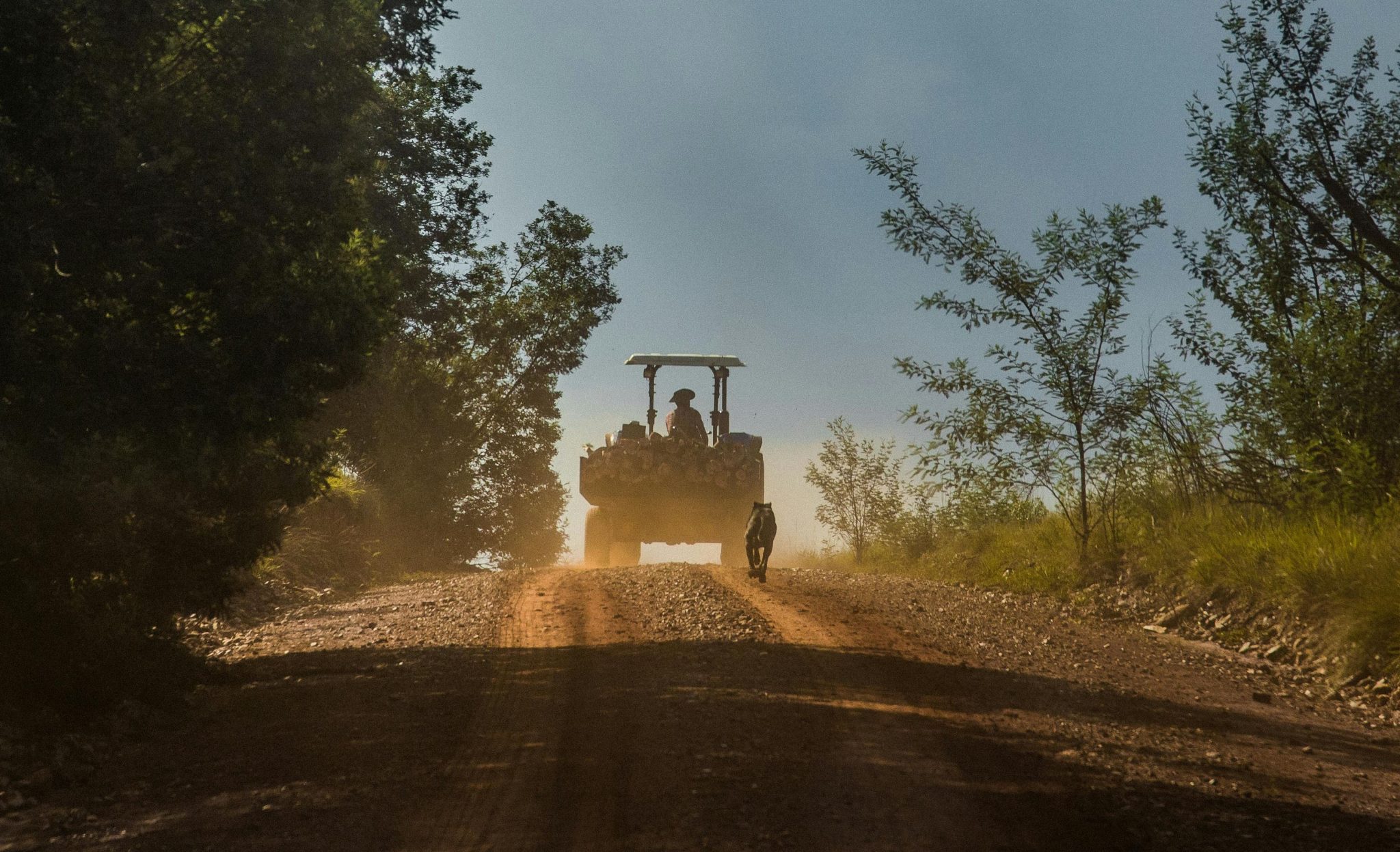 Driving on Country Roads | Just Drive
