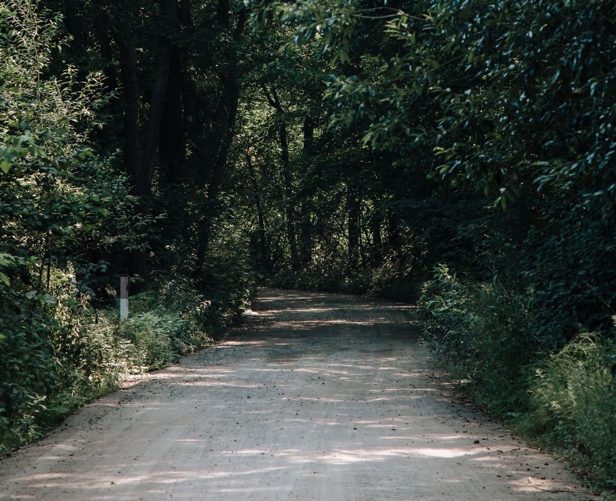 Driving on Country Roads | Just Drive