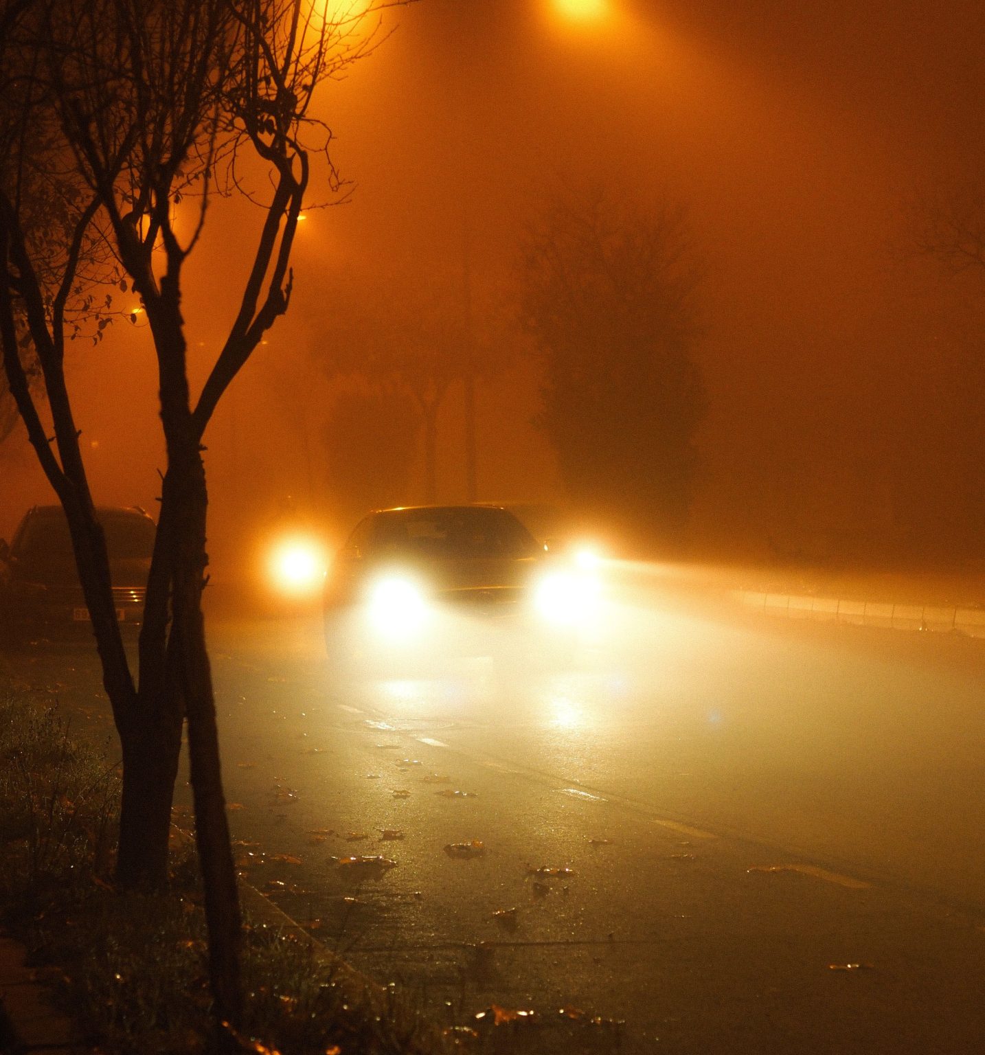 Driving Safely in Fog | Just Drive